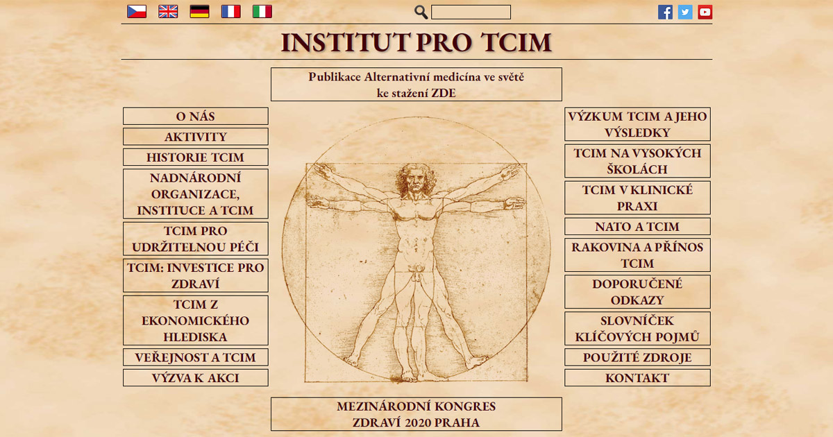 INSTITUT PRO TCIM/CAM, z.ú.